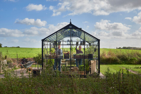 Juliana Jubii 60 Limited Edition