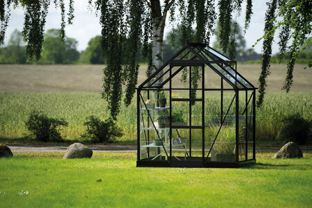 6x4 Halls ICON 6 Black Greenhouse - 3mm Horticultural Glass