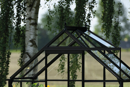 6x4 Halls ICON 6 Black Greenhouse - 3mm Horticultural Glass