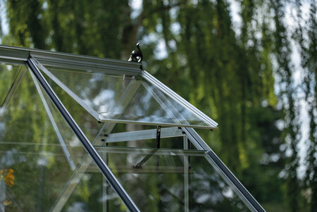 6x8 Halls ICON 6 Aluminium Greenhouse - 3mm Horticultural Glass